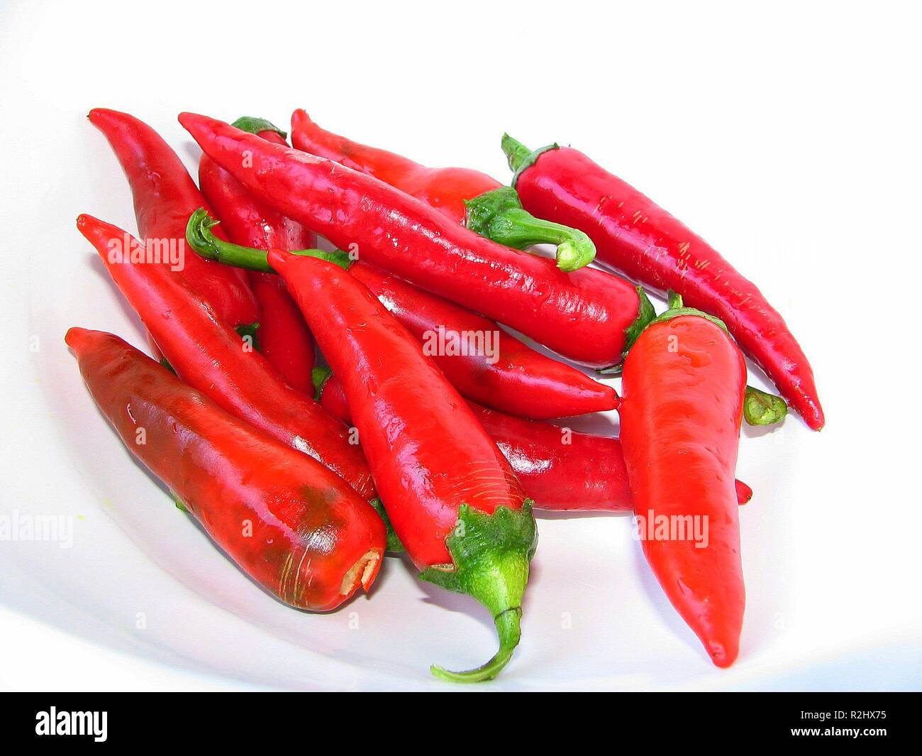 From cooks gardens hi-res stock photography and images - Alamy