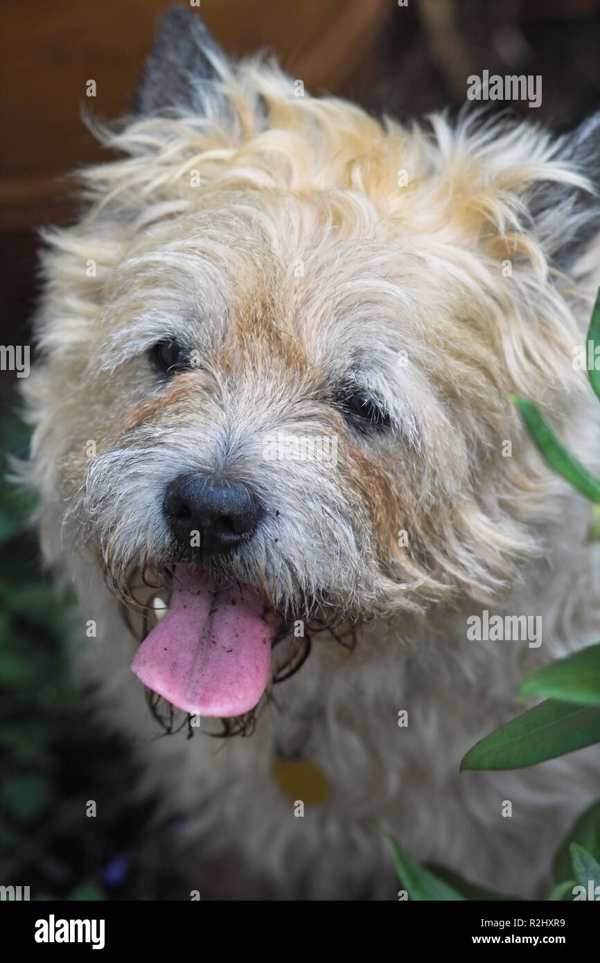 Slob view hi-res stock photography and images - Alamy