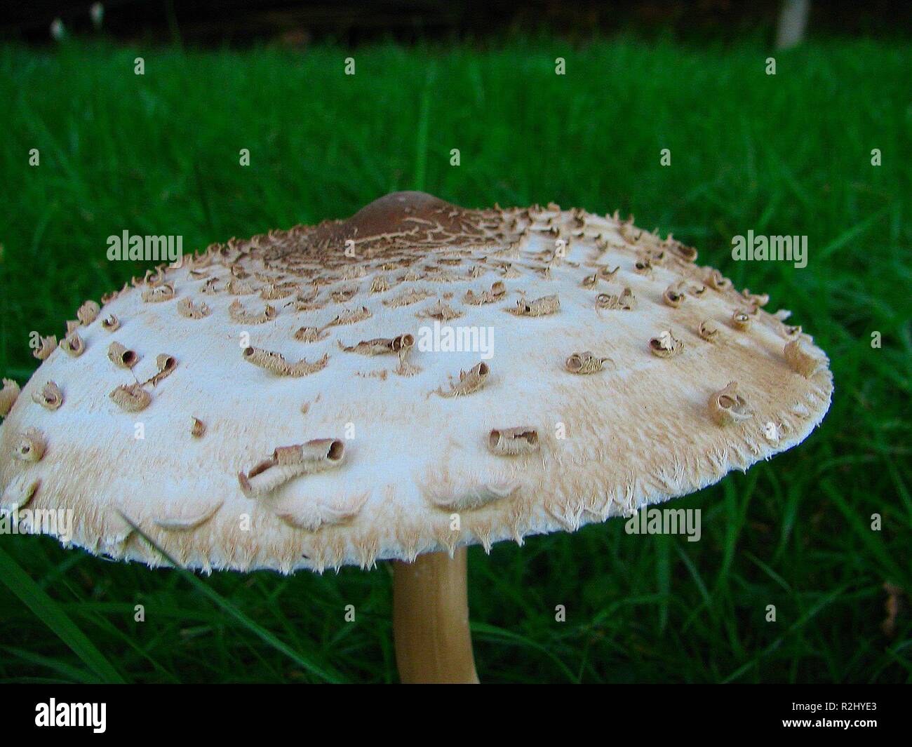 Two days later hi-res stock photography and images - Alamy