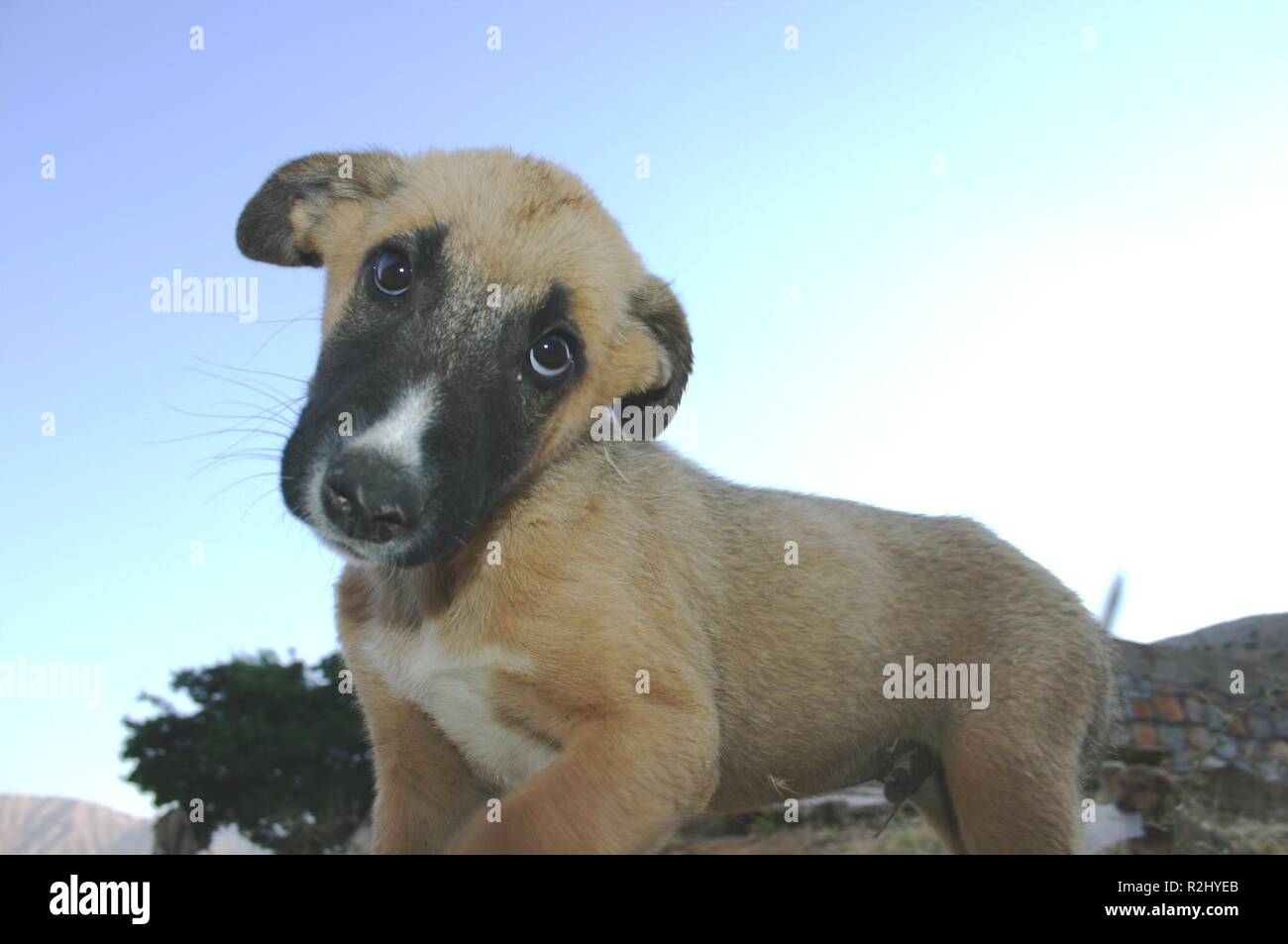 Sadder hi-res stock photography and images - Alamy