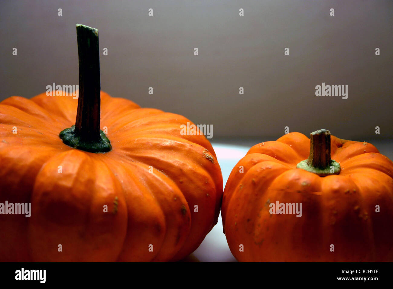 pumpkin still life (2 Stock Photo - Alamy