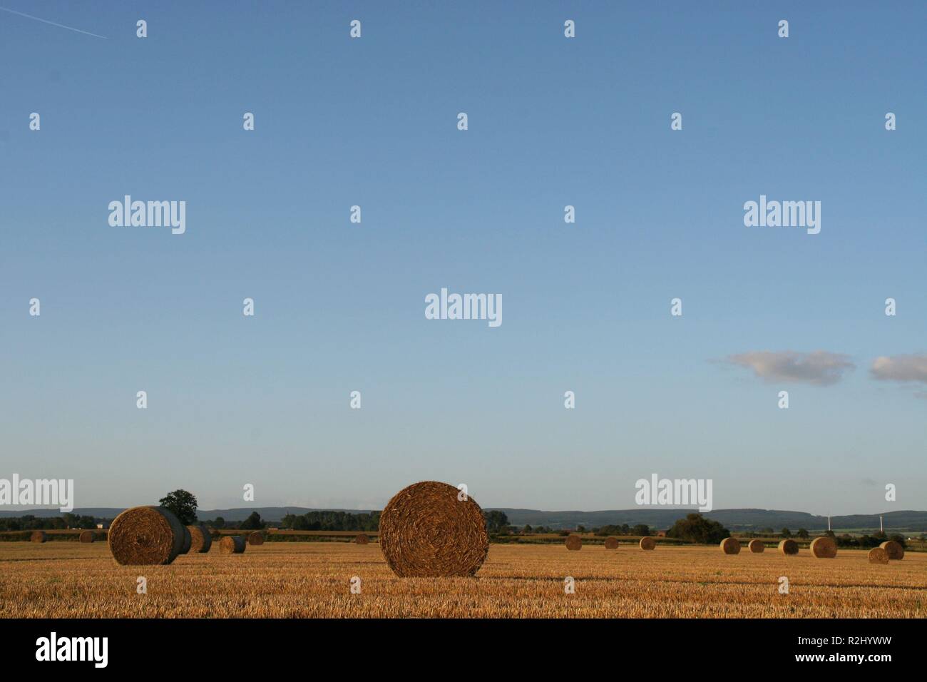 harvest time Stock Photo - Alamy
