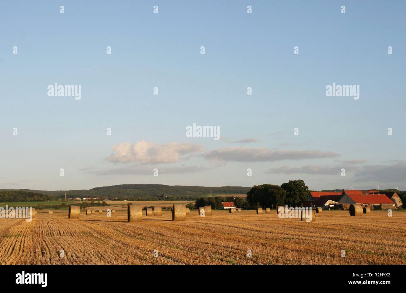 harvest time Stock Photo - Alamy