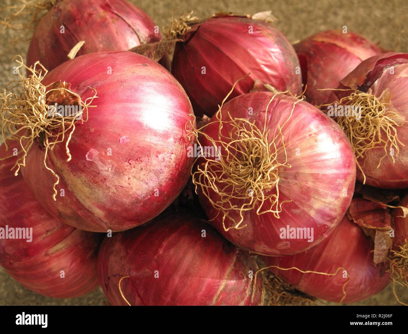 Cipolla hi-res stock photography and images - Alamy