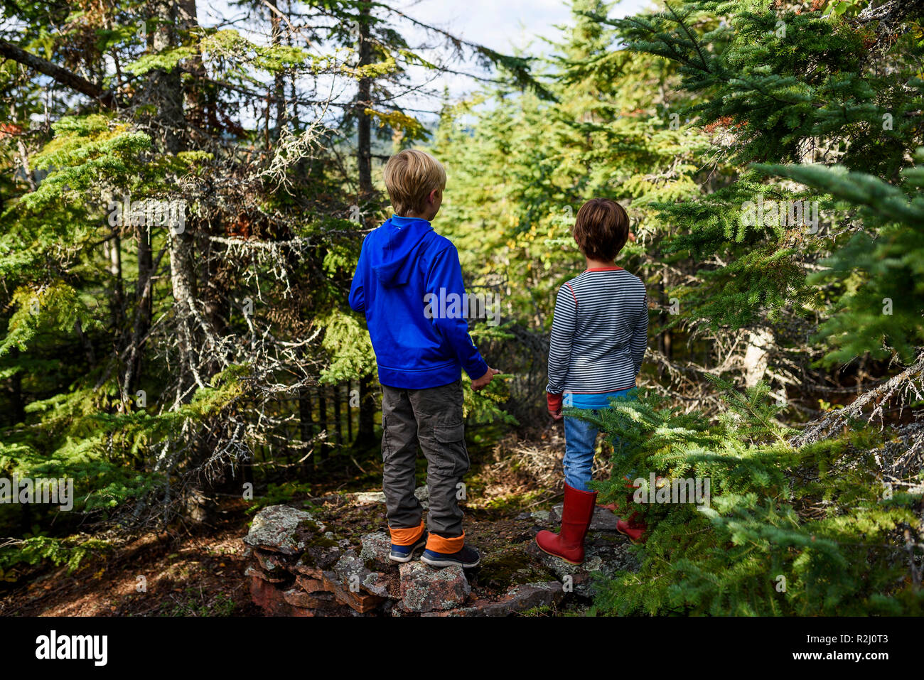 Two boys standing in a forest, Lake Superior Provincial Park, United ...