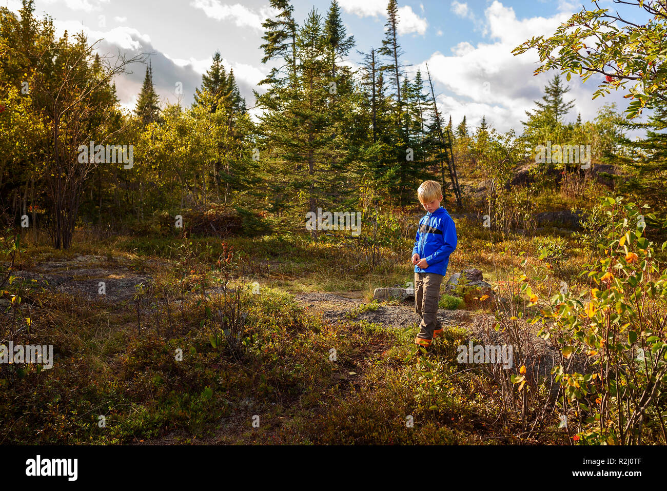Boy standing in a forest in summer, Lake Superior Provincial Park ...