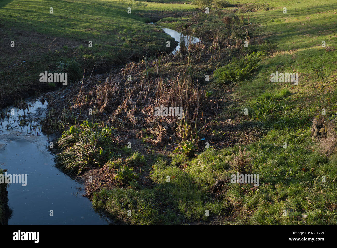River Wandle iin Wandle Park in Croydon South London in Autumn Stock ...