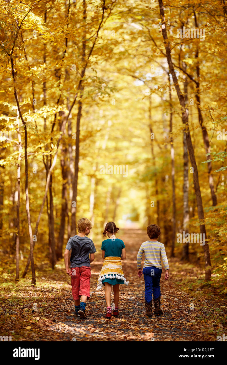 Three children walking along a footpath in the forest in early autumn ...