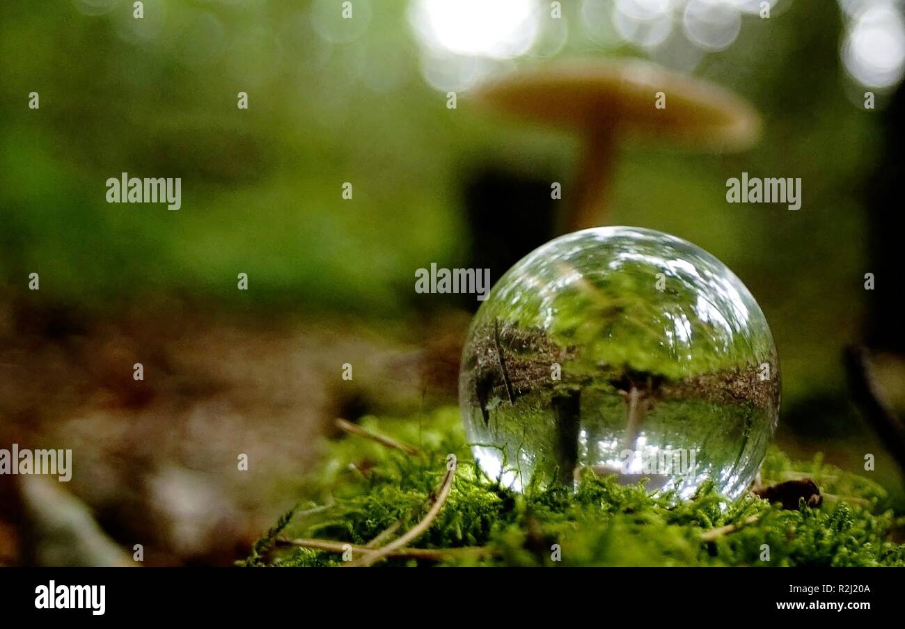 where trolls sleep Stock Photo - Alamy