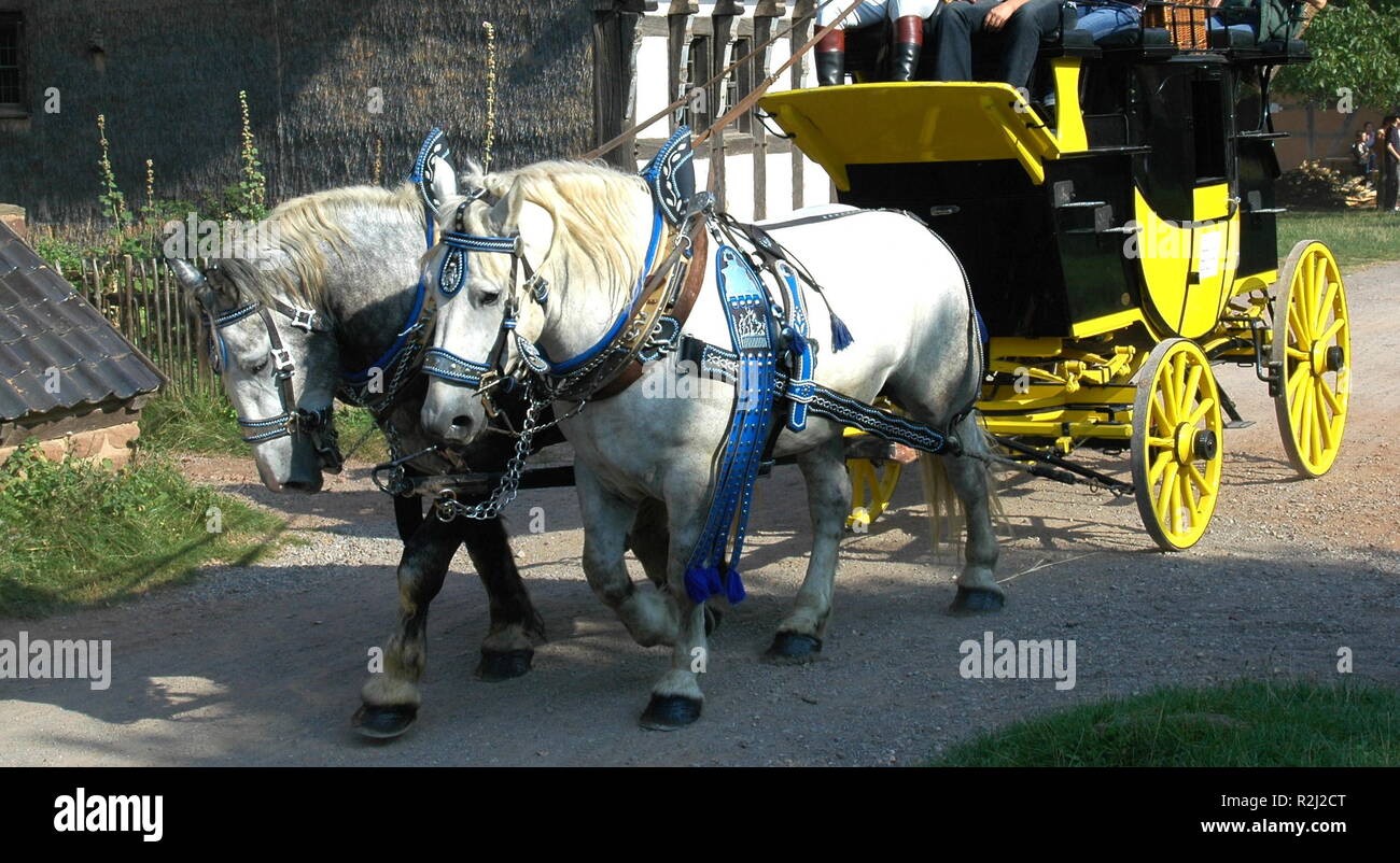 Stagecoach horse hi-res stock photography and images - Alamy