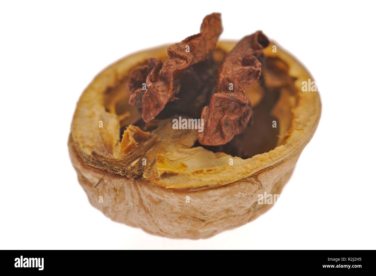 Rotten walnut hi-res stock photography and images - Alamy