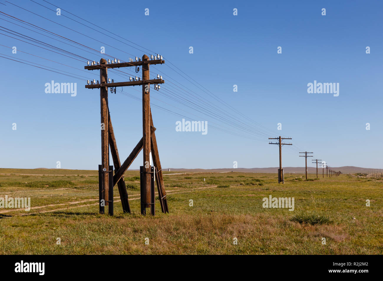 overhead line on wooden supports in the Mongolian steppe Stock Photo ...