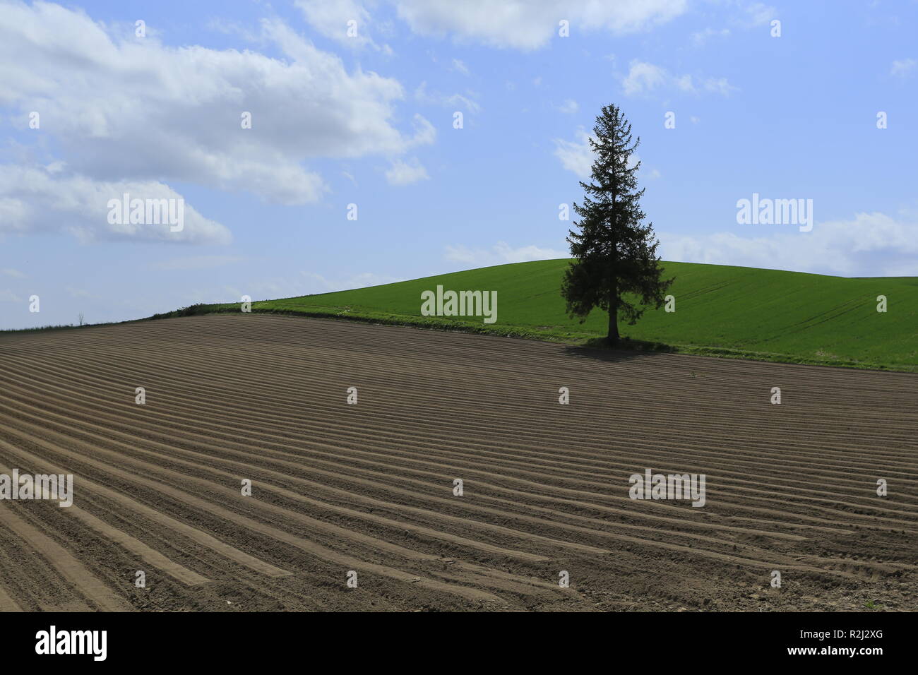 Hokkaido field hi-res stock photography and images - Alamy