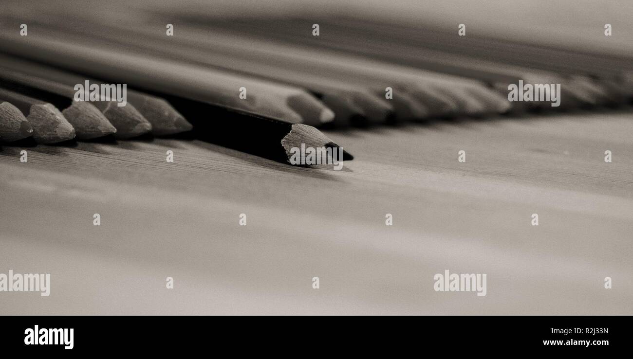 lead and guide Stock Photo - Alamy