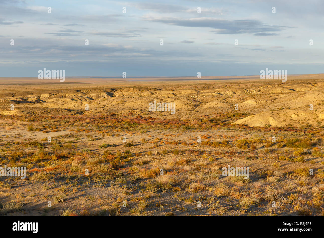 gobi desert mongolia Stock Photo - Alamy