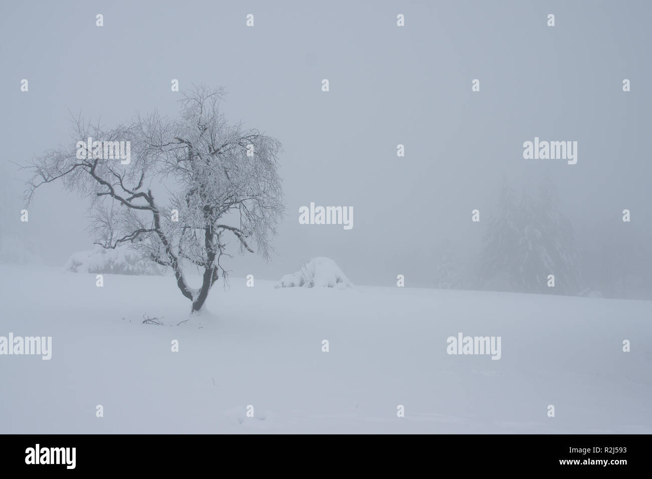 Hochsauerlandkreis High Resolution Stock Photography and Images - Alamy