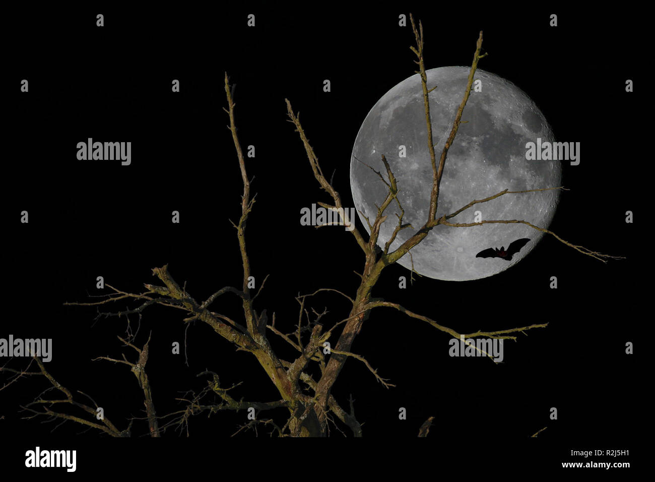 Full of fantasy hi-res stock photography and images - Alamy