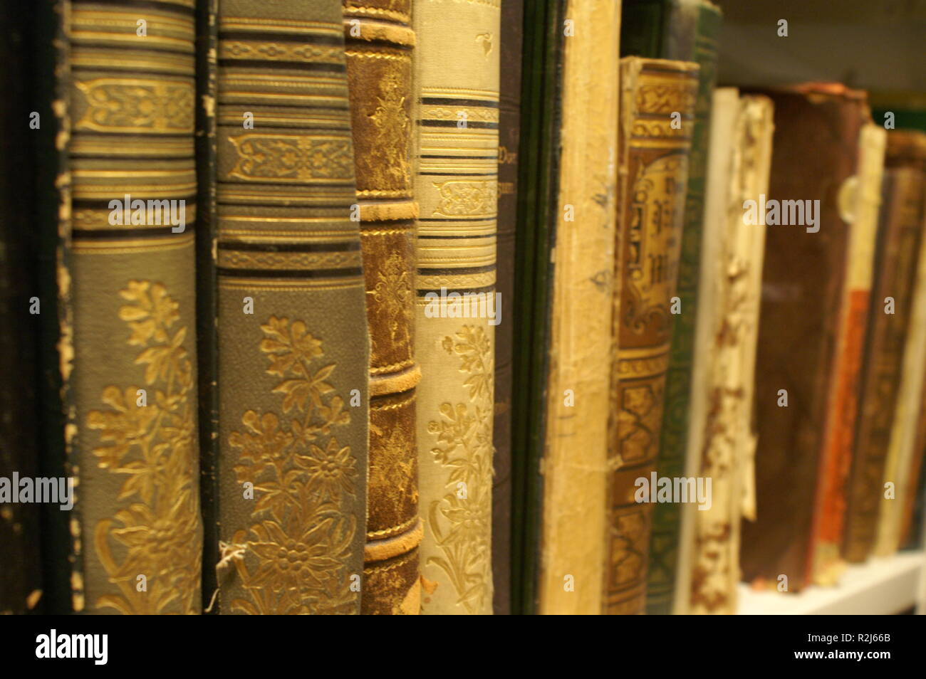 Goldpra gung hi-res stock photography and images - Alamy