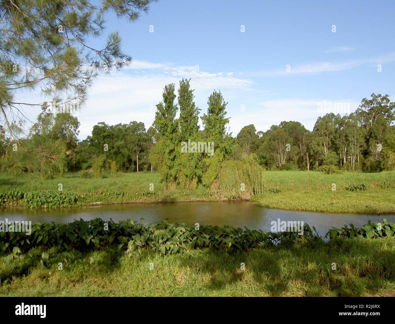 Bulimba brisbane hi-res stock photography and images - Alamy
