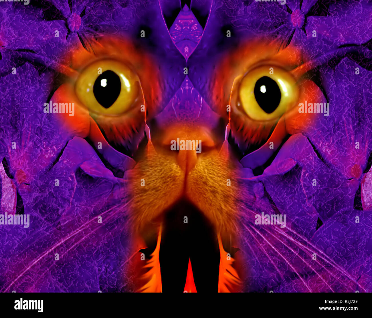 Inferno gorge hi-res stock photography and images - Alamy