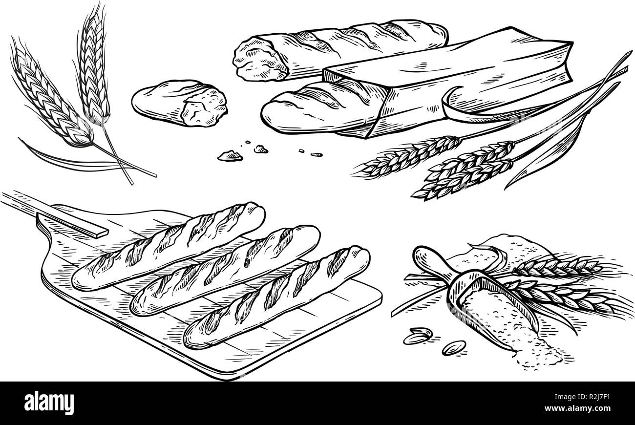 collection of natural elements of bread and flour sketch vector ...