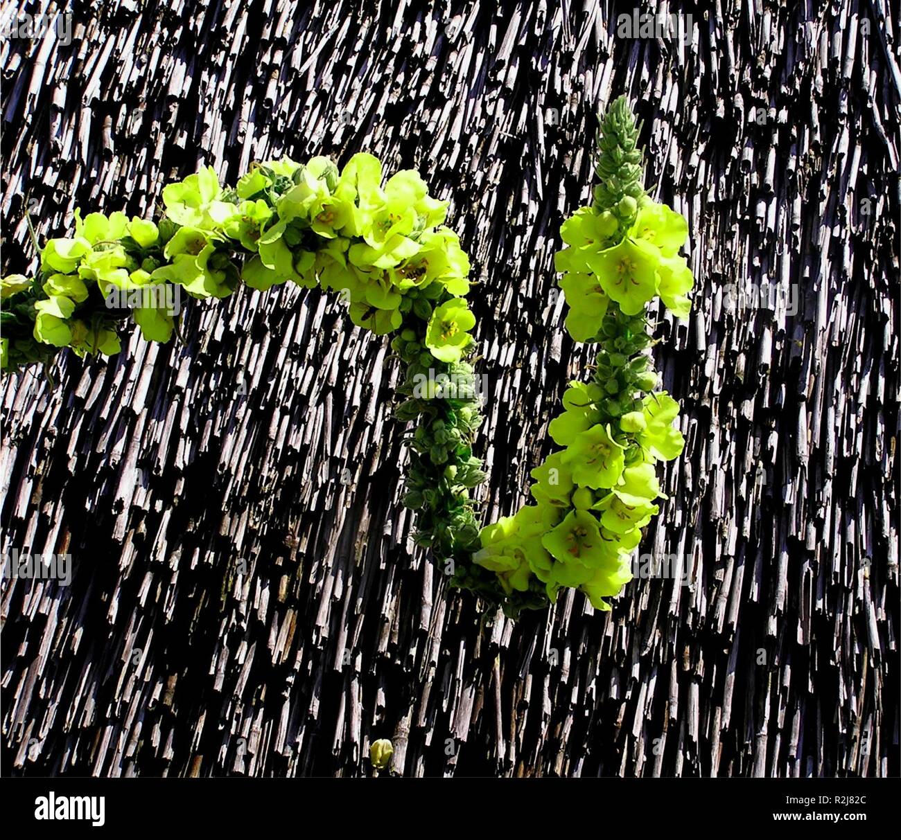 Bowed roof hi-res stock photography and images - Alamy