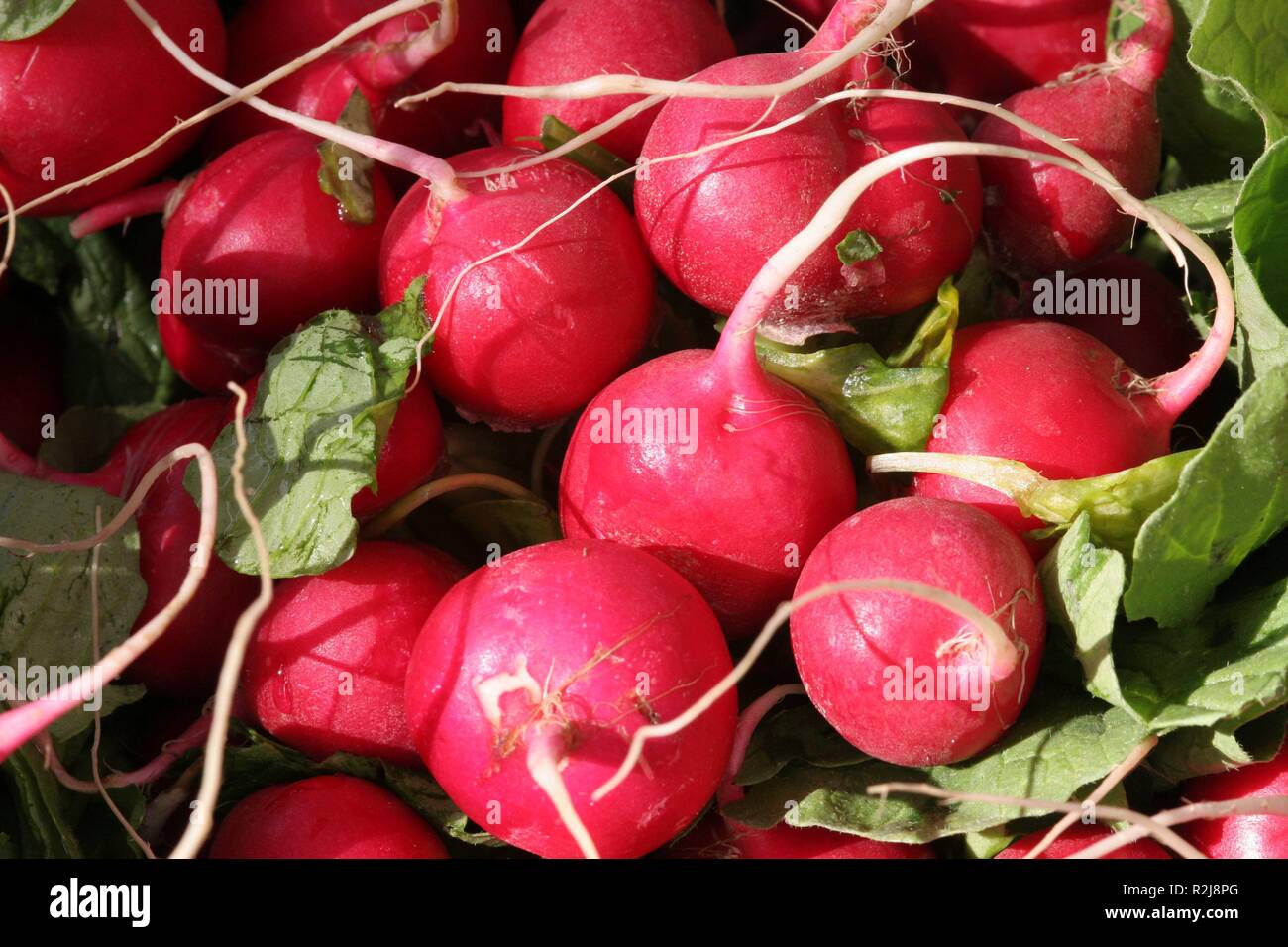 Ma rz hi-res stock photography and images - Alamy