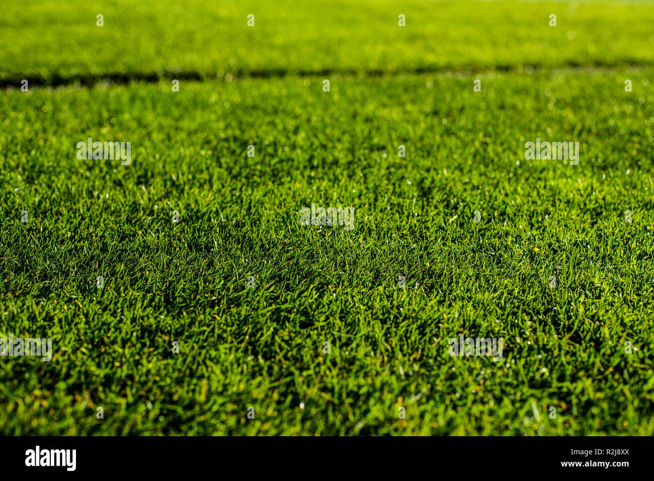 Football pitch background stadium hi-res stock photography and images ...
