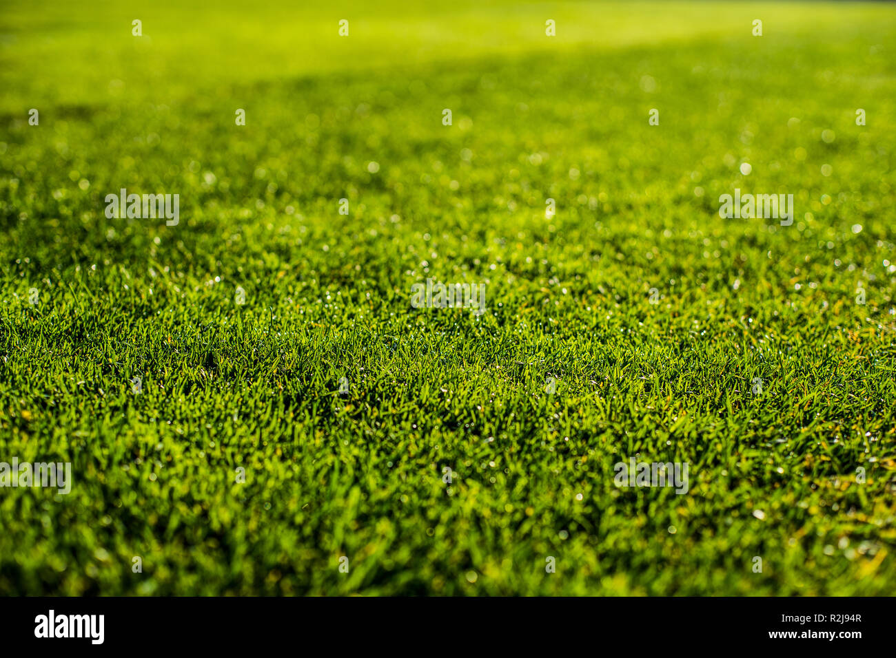 Football pitch background stadium hi-res stock photography and images ...