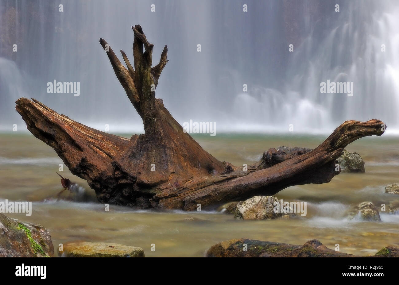 Root Tiles High Resolution Stock Photography and Images - Alamy