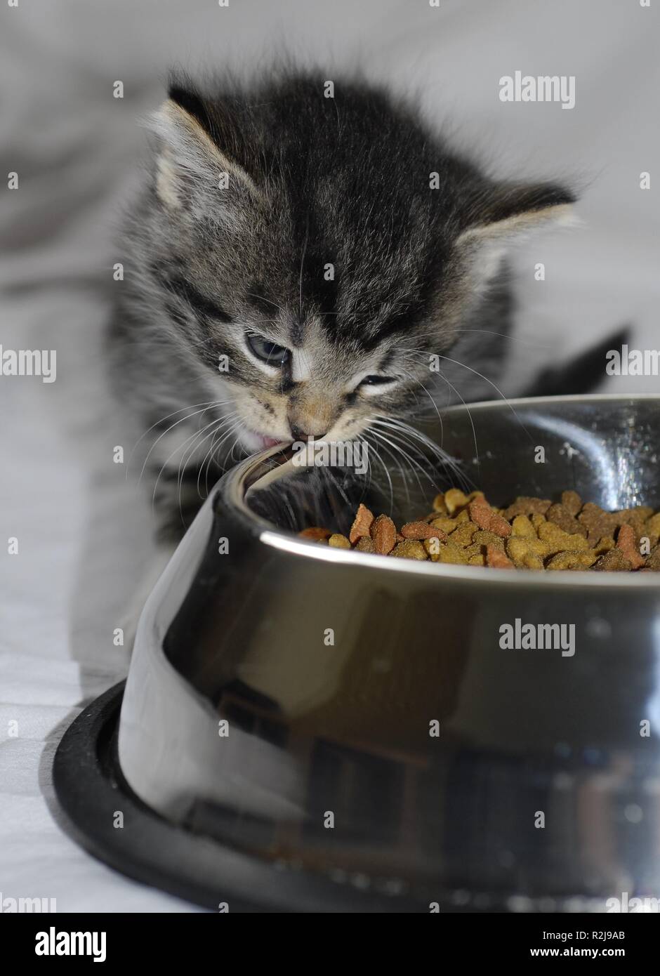 every beginning is difficult ii Stock Photo - Alamy