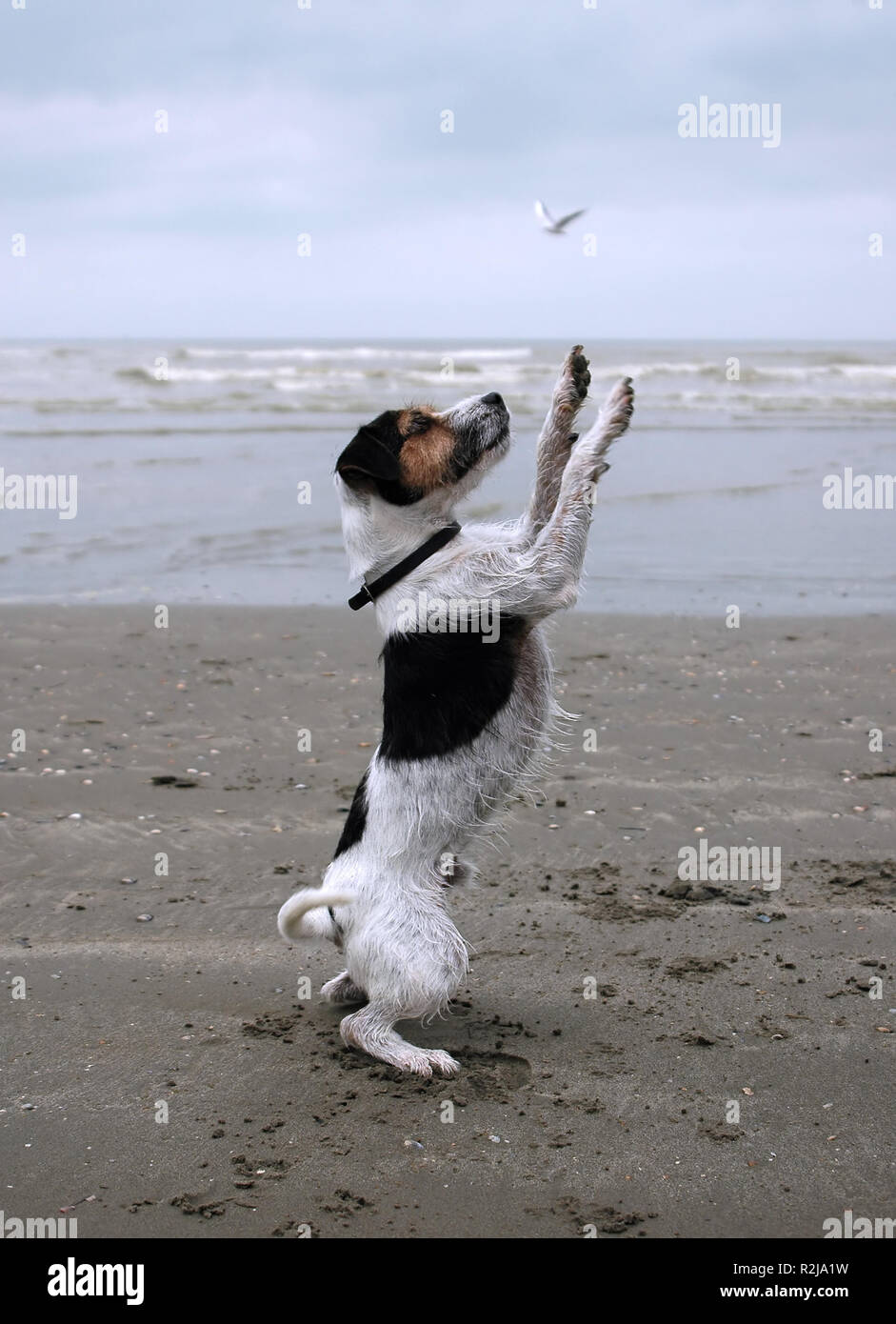 Grace russell hi-res stock photography and images - Alamy