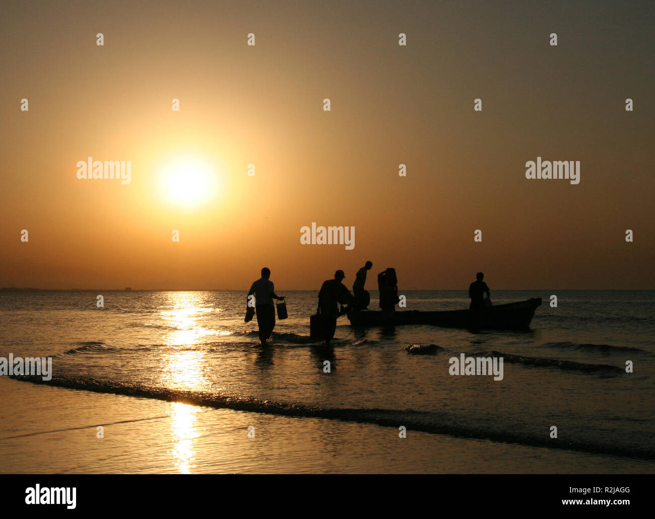 Ocean fish in arabian gulf hi-res stock photography and images - Alamy