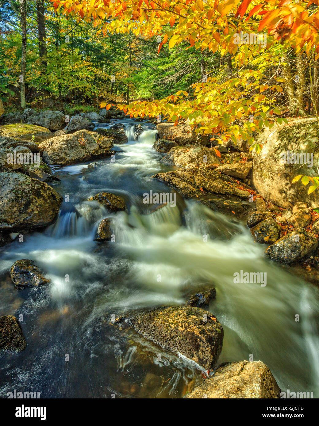 A swollen mountain stream flowing with run off from recent storms ...