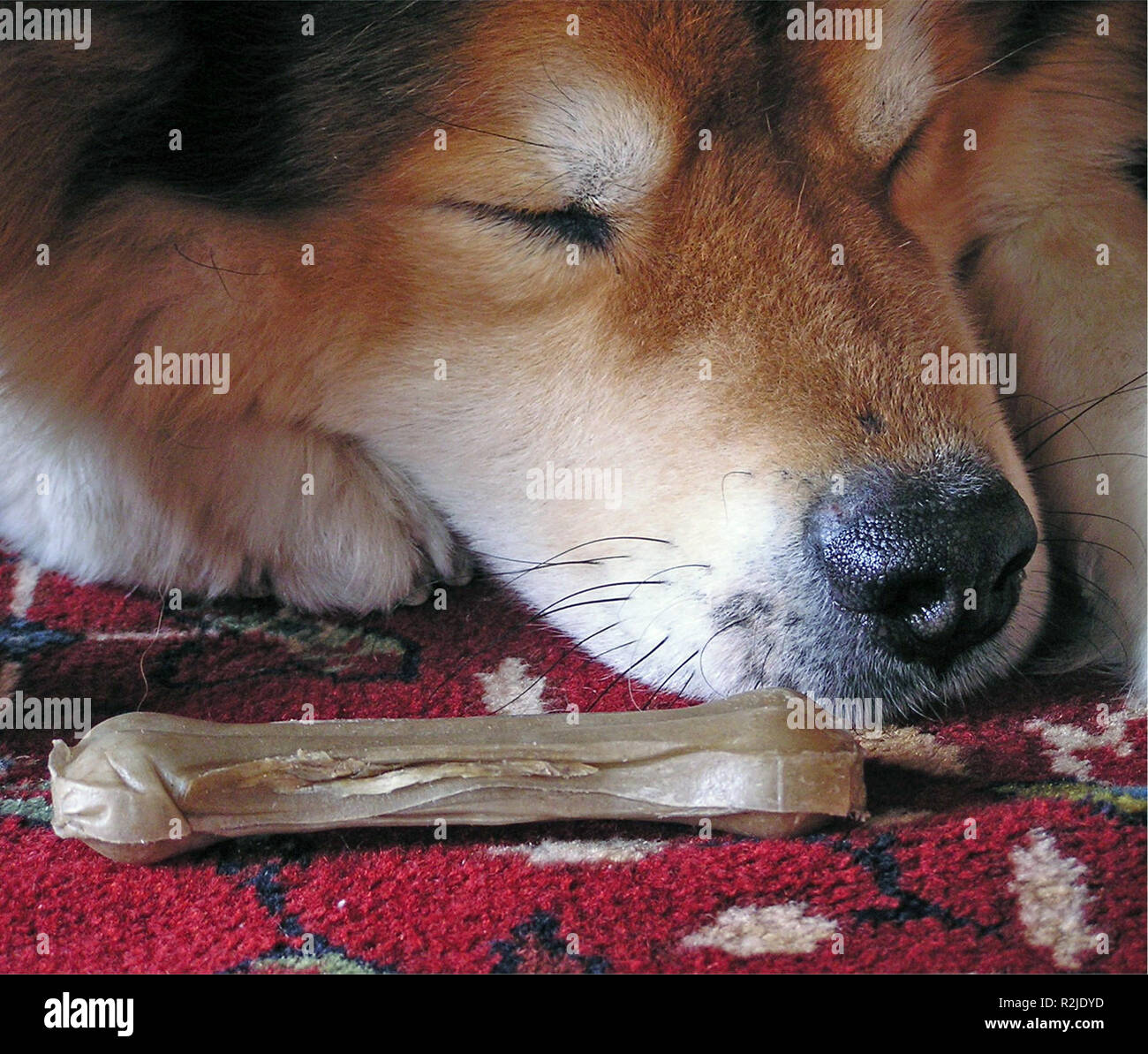 Watchman sleeping hi-res stock photography and images - Alamy