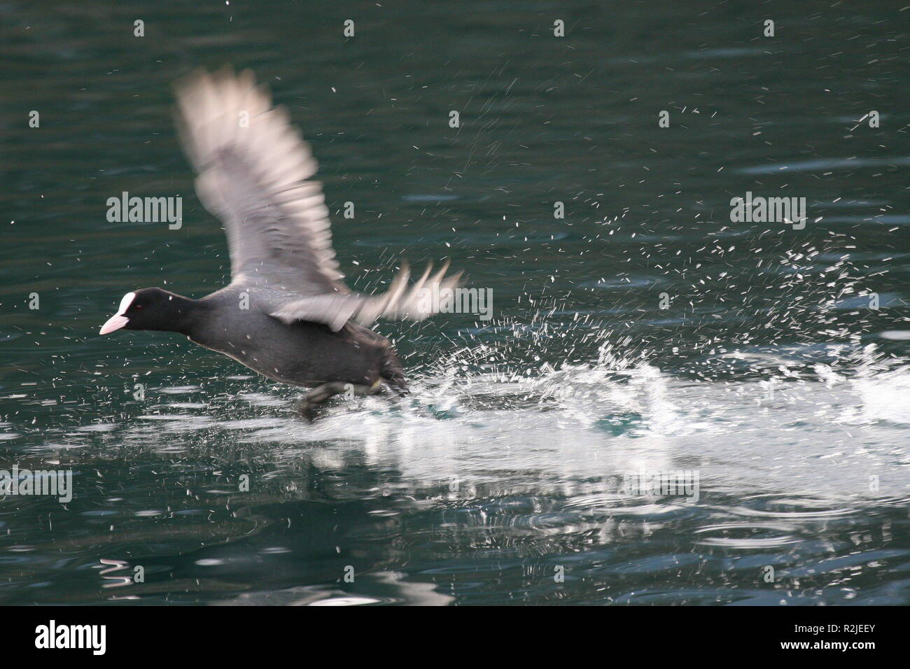 and there you go Stock Photo - Alamy