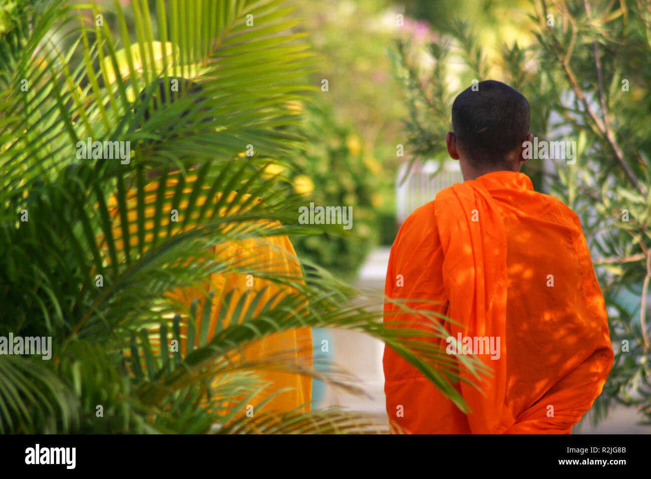 Cambodia pol pot hunger hi-res stock photography and images - Alamy