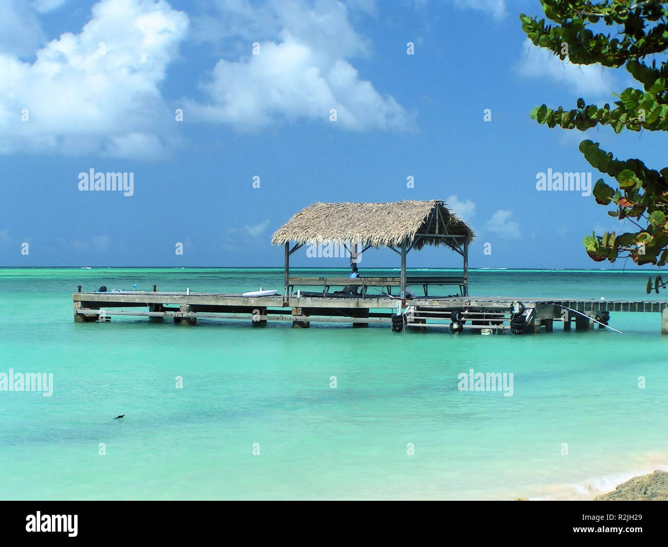 at the beach Stock Photo - Alamy