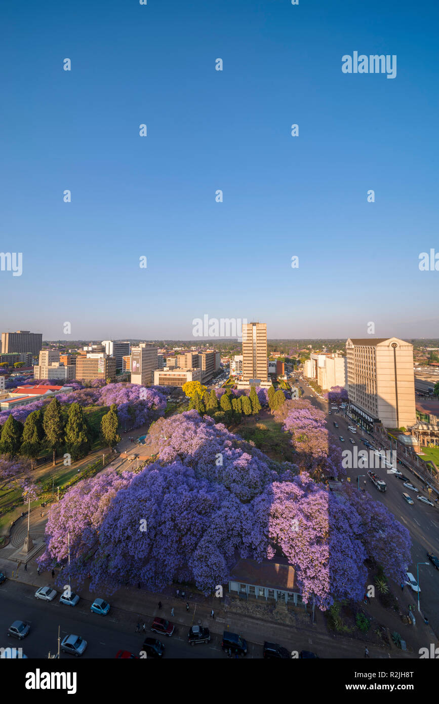 Harare, the capitalo of Zimbabwe, seen in Jacaranda season Stock Photo ...