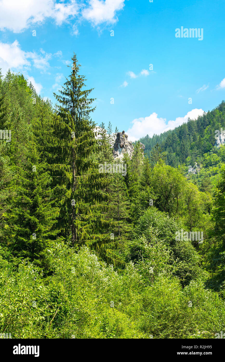 Rodopi mountains hi-res stock photography and images - Alamy