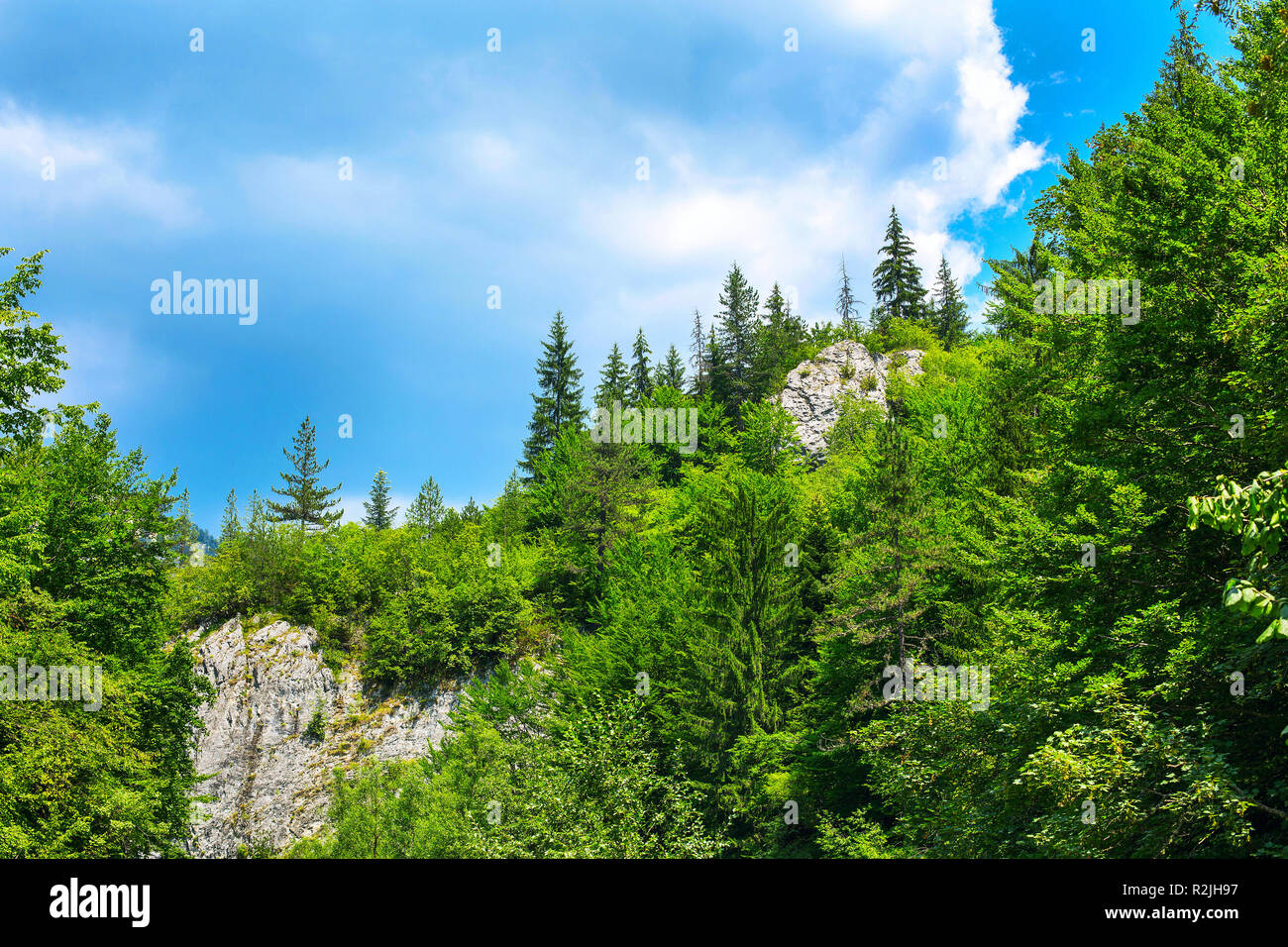 Rodopi mountains hi-res stock photography and images - Alamy