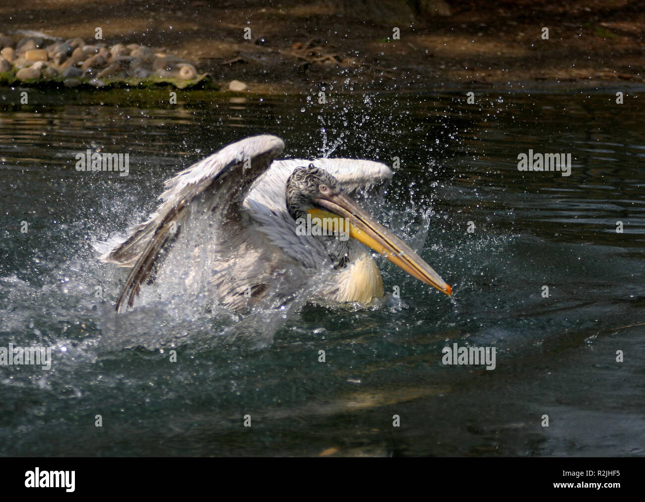Splashdown hi-res stock photography and images - Alamy