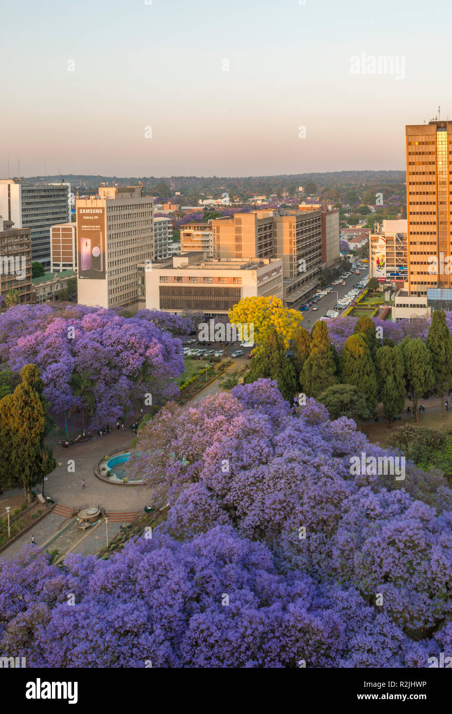 Harare, the capitalo of Zimbabwe, seen in Jacaranda season Stock Photo ...