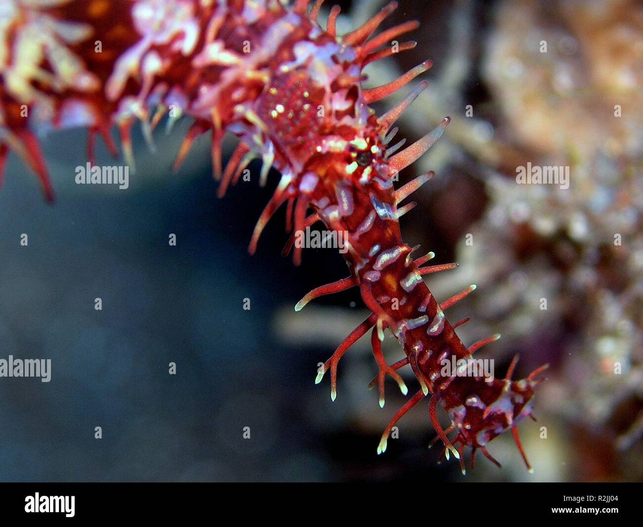 Tranung hi-res stock photography and images - Alamy