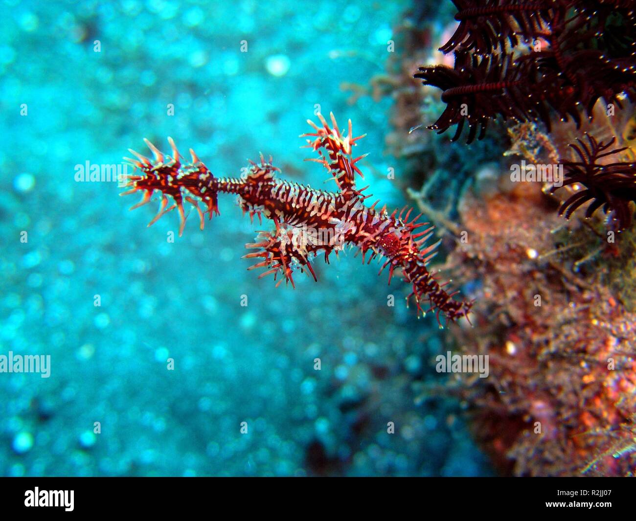 Tranung hi-res stock photography and images - Alamy