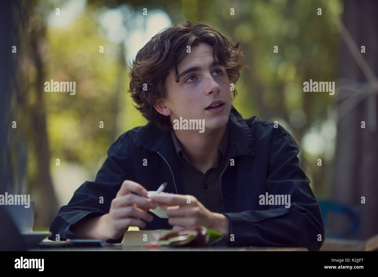 Lady Bird Year : 2017 USA Director : Greta Gerwig Timothee Chalamet ...