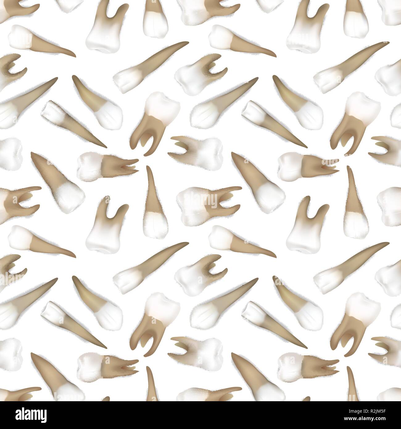 Lot of realistic human teeth on white, dental seamless pattern Stock ...