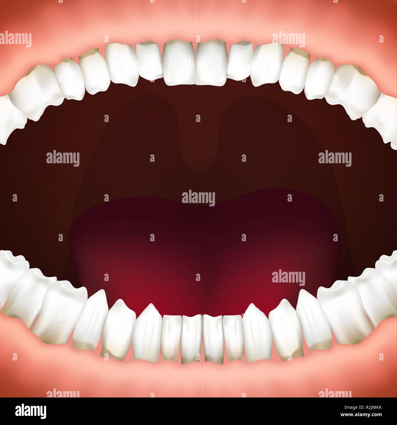 Open human mouth with jaws full of teeth in pink gums with red tongue ...
