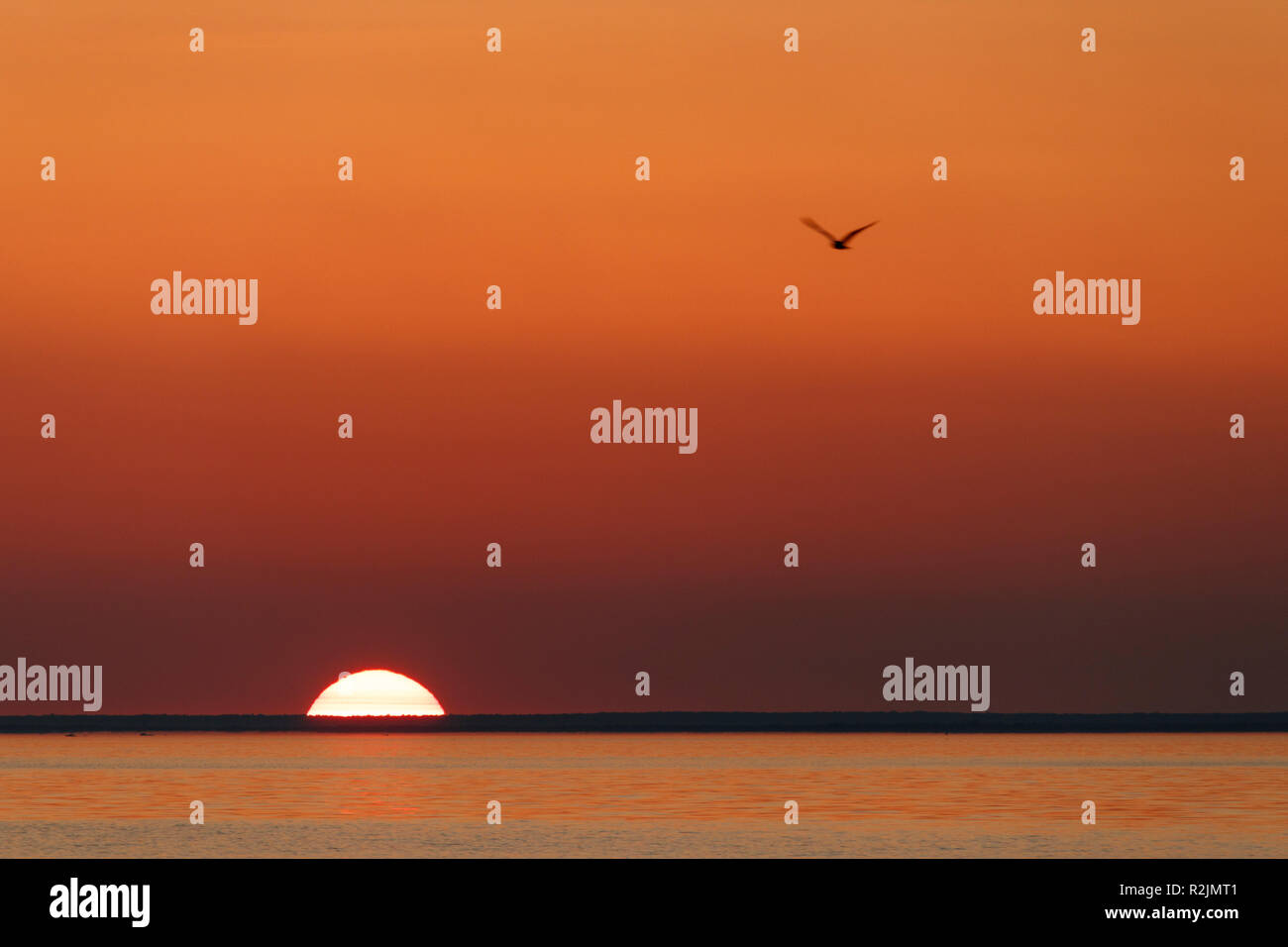 Flying past the sun hi-res stock photography and images - Alamy
