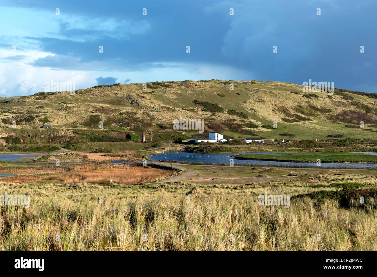 st.gothian sands nature reserve near godrevy in cornwall, england, uk ...